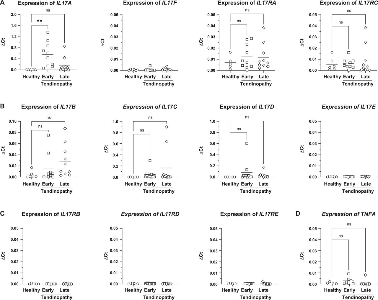 Targeting the IL-17A pathway for therapy in early-stage tendinopathy ...