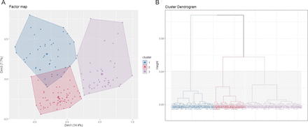 Cluster analysis identifies three clinical patterns of patients with ...
