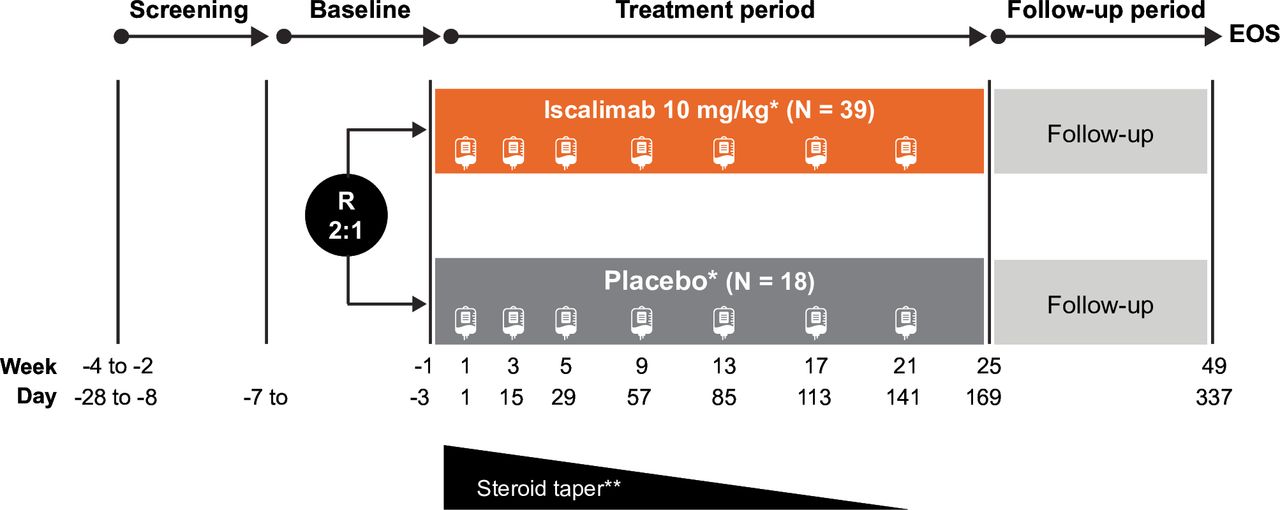 Efficacy, pharmacokinetics and safety of iscalimab (CFZ533) in patients ...