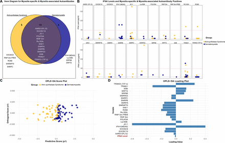 Idiopathic inflammatory myopathies lack neutralising autoantibodies to ...