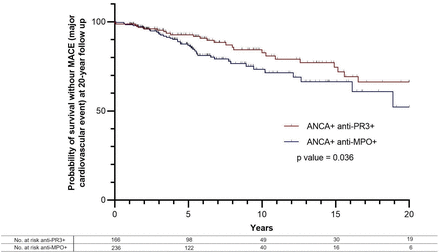Impact of ANCA specificity on risk of cardiovascular events and death ...