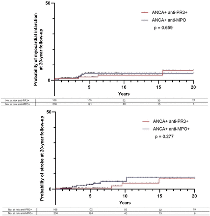 Impact of ANCA specificity on risk of cardiovascular events and death ...