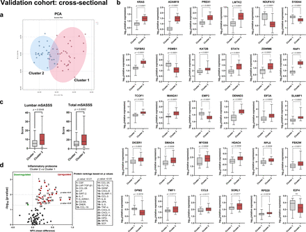 Transcriptomic and proteomic analysis stratifies patients with axial ...