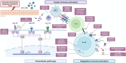Emerging treatments for Sjögren’s disease: promising drugs on the ...