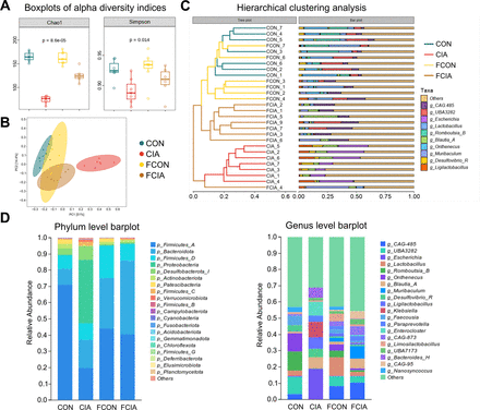 Gut microbiota dysbiosis and metabolic alterations in rheumatoid ...